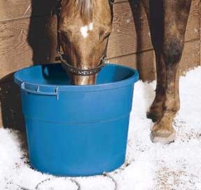 BRAN IN THE EQUINE DIET | The Equine Nutrition Nerd