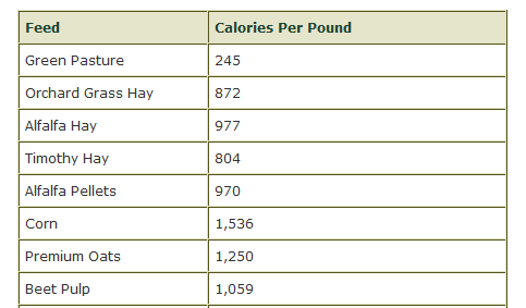 Counting Calories in the Equine Diet | The Equine Nutrition Nerd