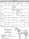The ABCs of Equine Nutrition: An A-to-Z guide to better understanding ...